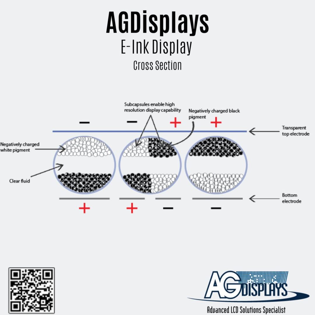 This cross-section shows how subcapsules within each pixel enable the ...